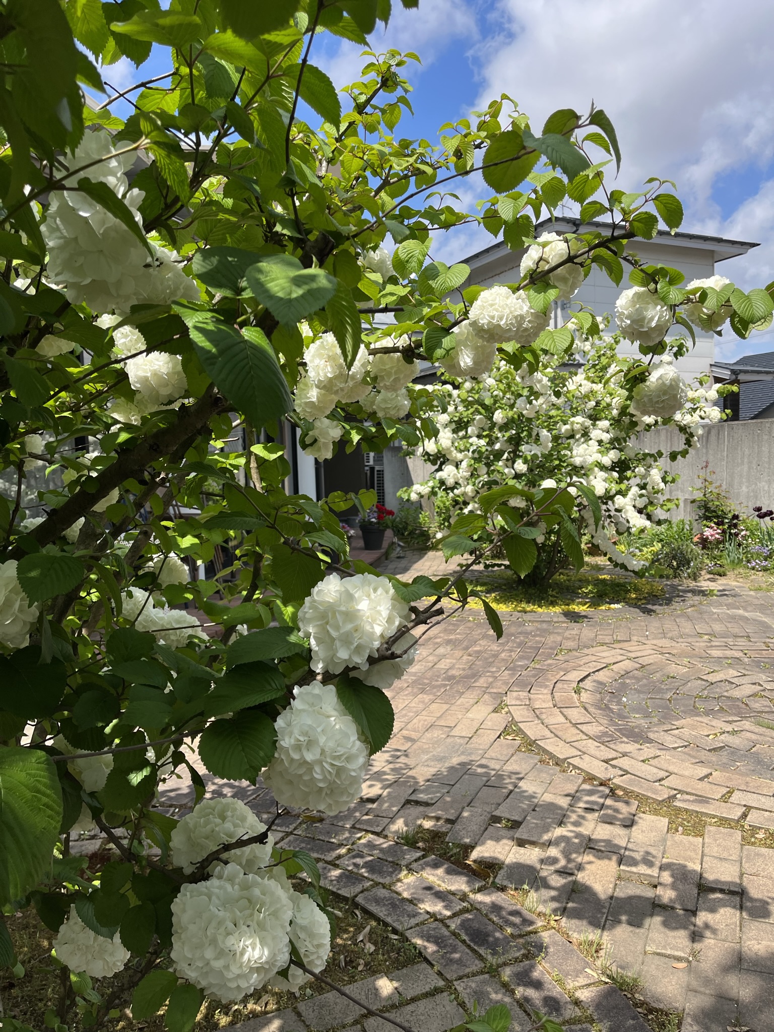 IMG_4092 | みどりデザイン研究所